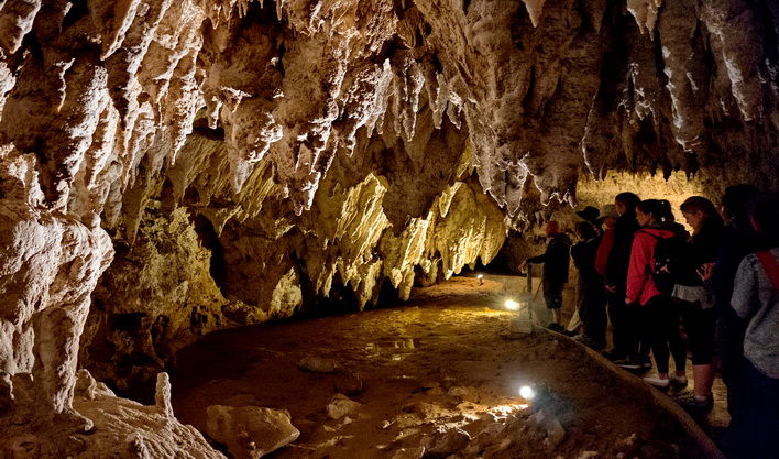 เที่ยวเมืองไวโตโม ด้วยตัวเอง เมื่อไหร่ดี - When OR Where